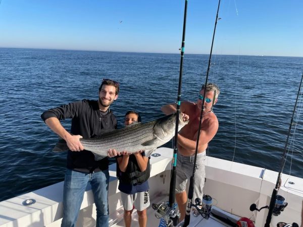 Our Journeys – WolfPack Tackle