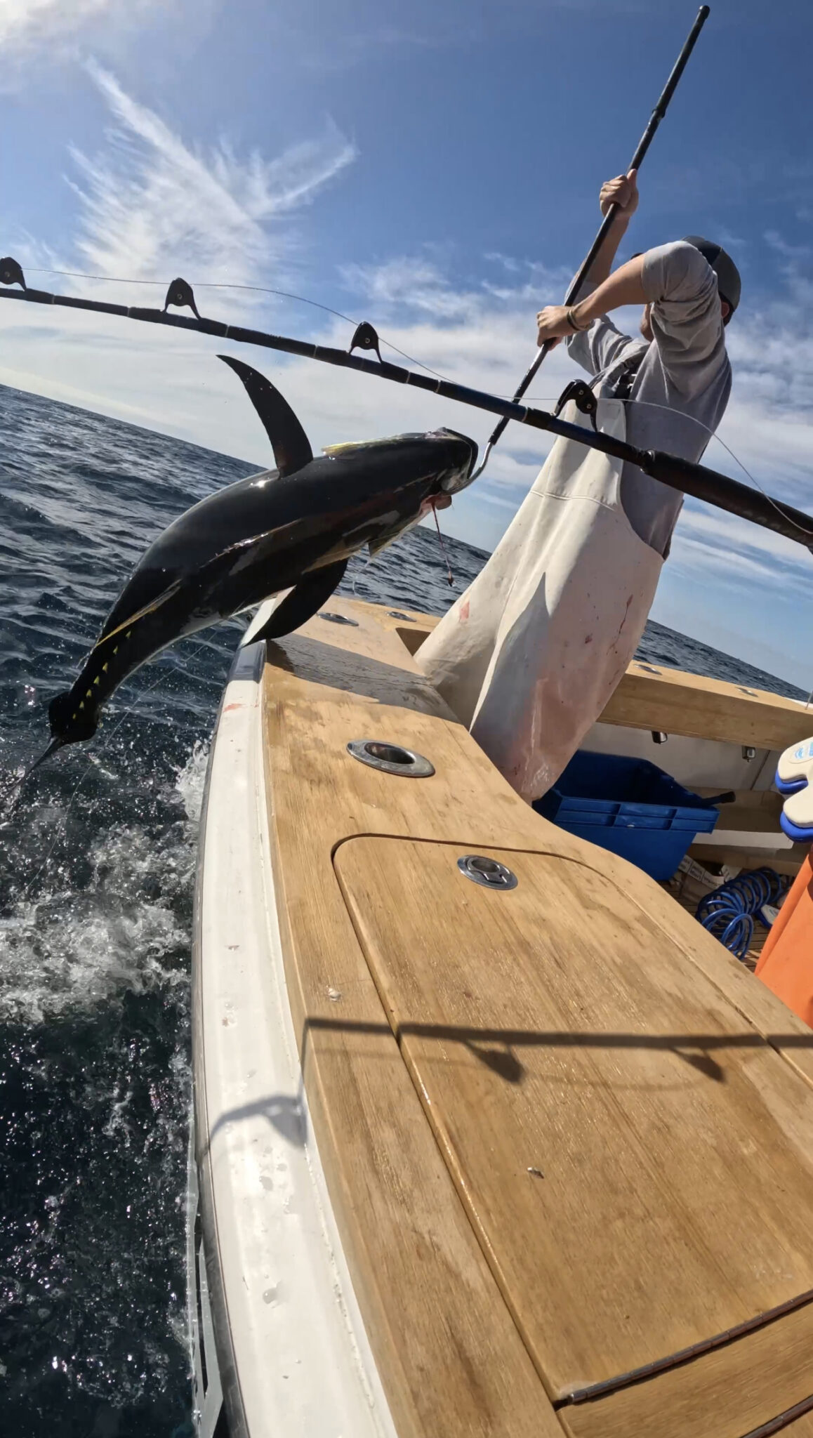 Our Journeys – WolfPack Tackle