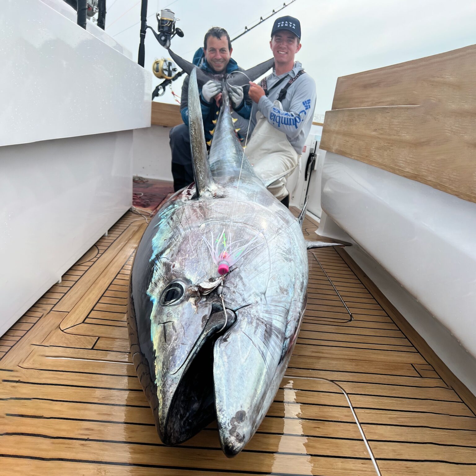 Ahi Head – WolfPack Tackle