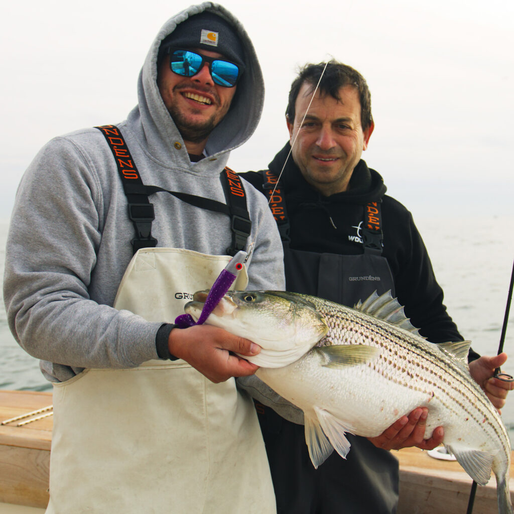 Paddle Tails – WolfPack Tackle